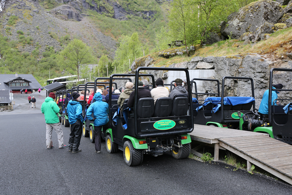 Aurora-May16-Briksdal-glacier-troll-cars-1 - Ian Hardacre