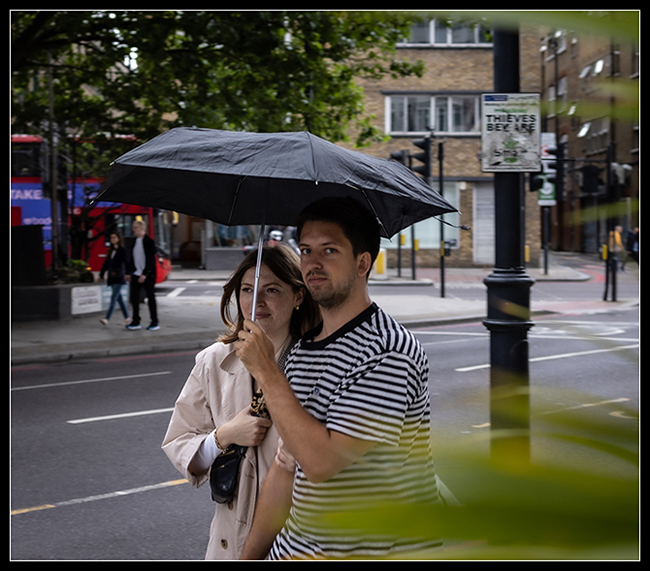 Second Round of the Spring Digital Image Competition 2021-2022 - Ian ...