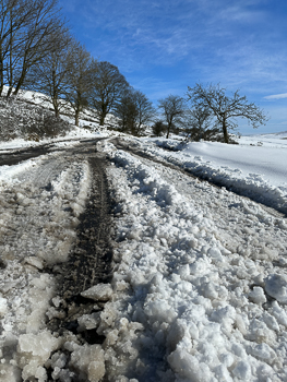 Yorkshire in March 2023 - Ian Hardacre
