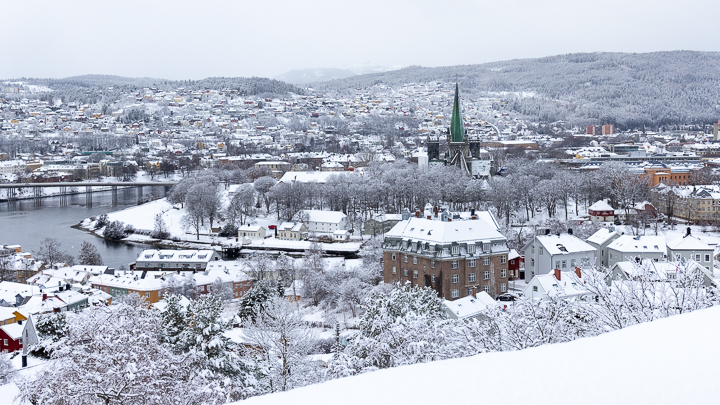 February 2023: Artic Norway and the Northern Lights: Trondheim - Ian ...