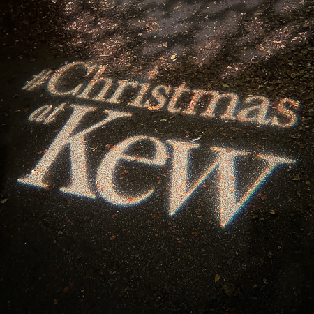 Christmas at Kew December 2023 - Ian Hardacre